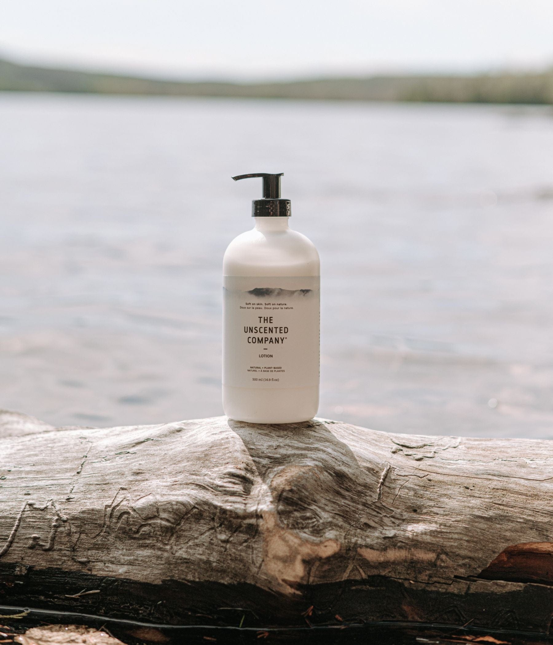 Unscented lotion store
